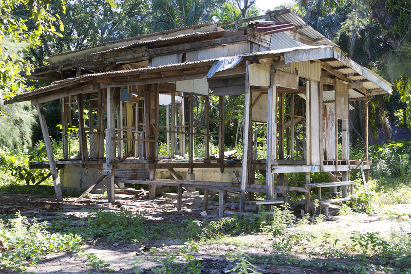 Saturday Morning for Saturday 4 June 2016 Saturday Morning | RNZ