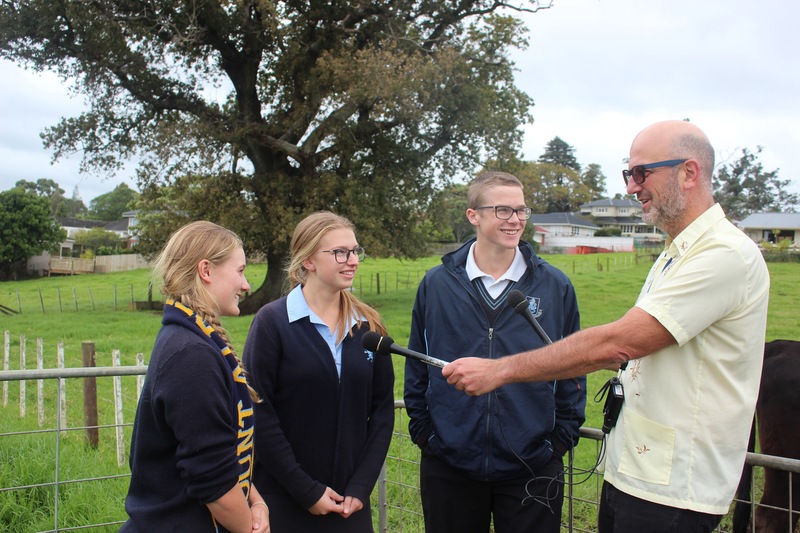 MAGS farm | A Gallery from This Way Up | RNZ National
