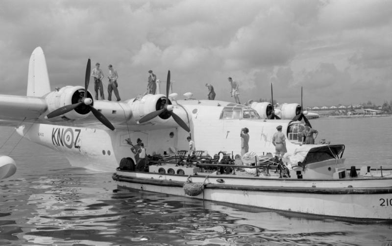 Tom Enright: the sky's the limit | RNZ