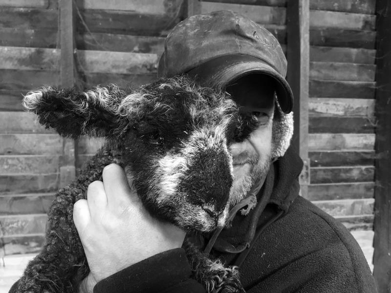 Tim Saunders | A Gallery from Afternoons with Jesse Mulligan | RNZ National