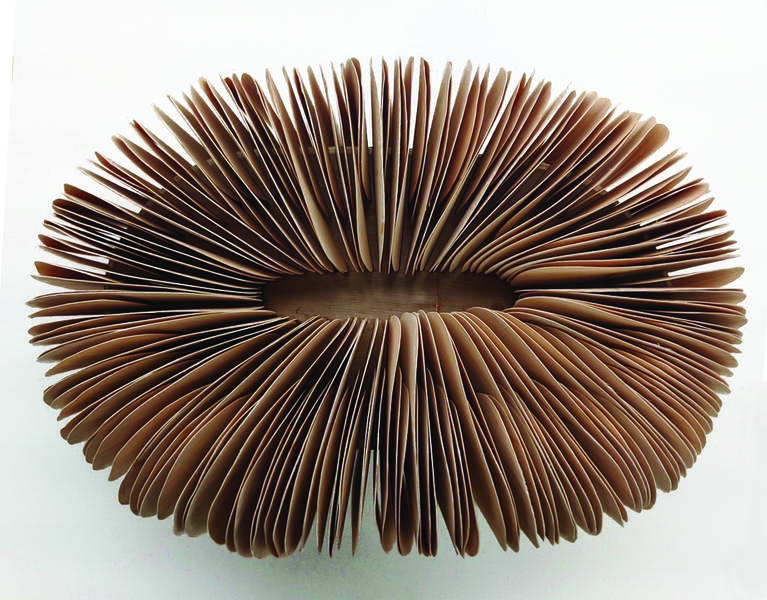 Sculptor Chris Booth is taking it to WA - remotely | RNZ