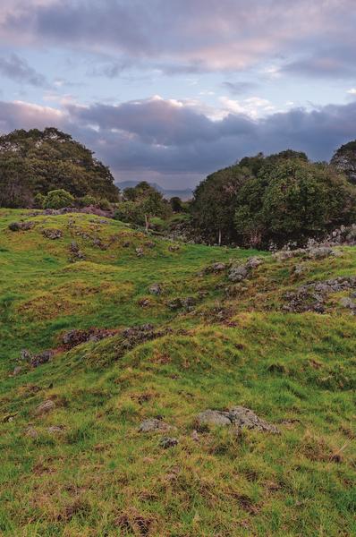 Shifting Grounds | A Gallery from Nine To Noon | RNZ National