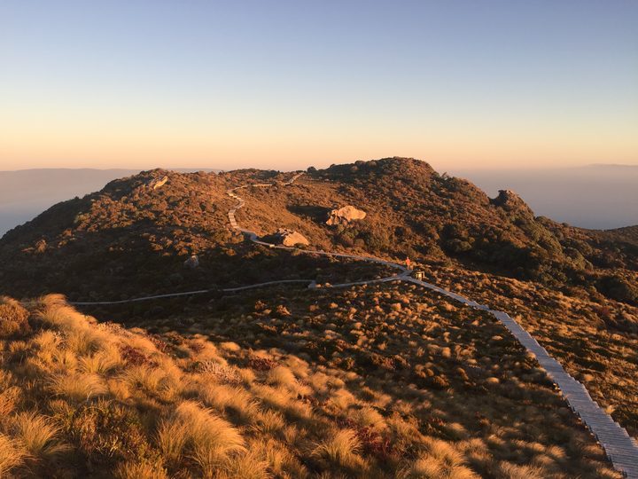 Talk the Walk - The Hump Ridge Track | RNZ