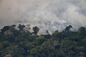 Amazon fires explainer: Why are they sparking a crisis? | RNZ News