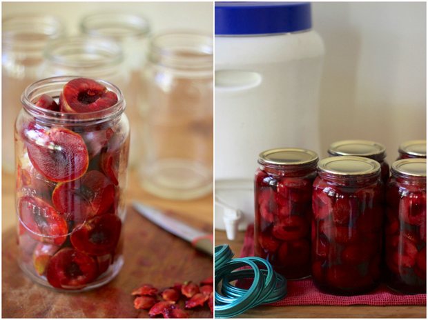 Preserved Fruit Slices | RNZ Recipes