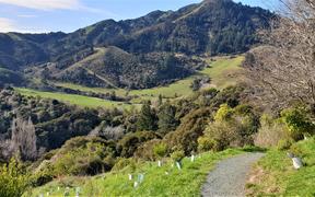 Ngāti Koata to take over ownership of Kākā Hill in Maitai Valley | RNZ News