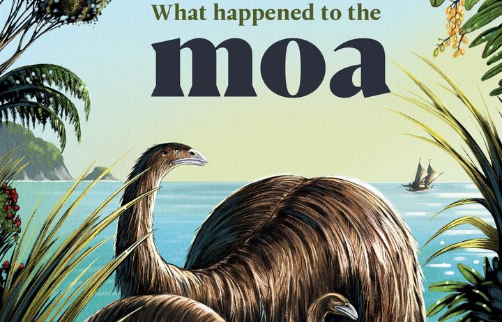 Explaining to children what happened to the moa | RNZ