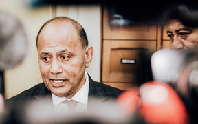 He Puapua report bogged down in 'swamp of politics' | RNZ News