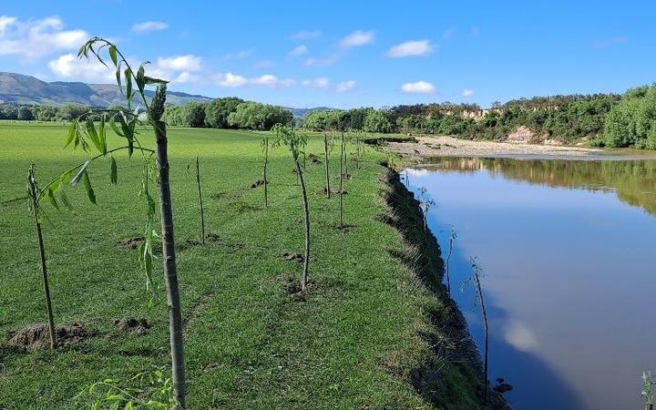 Checkpoint for Wednesday 2 February 2022 Checkpoint | RNZ
