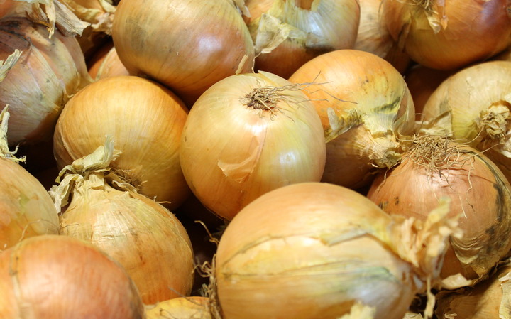 Onion exports kick off early after good growing season | RNZ News