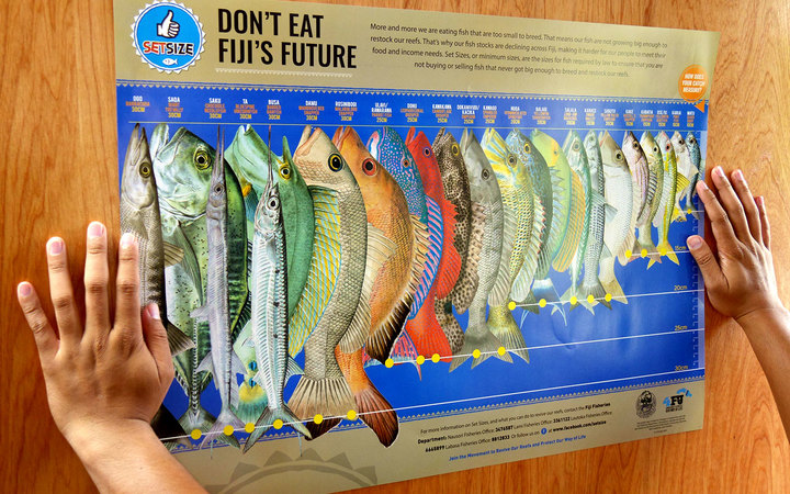 Fiji introduces size limits for inshore fishery | RNZ News
