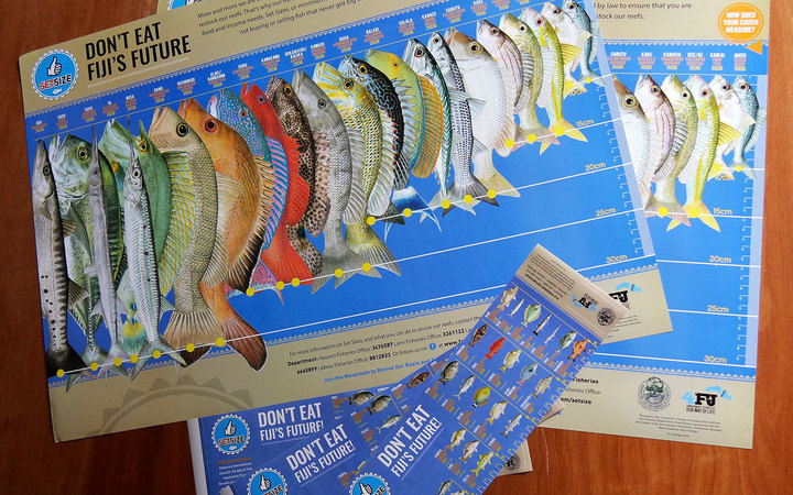 Fiji introduces size limits for inshore fishery | RNZ News