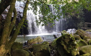Alexa Cook | RNZ National Presenter