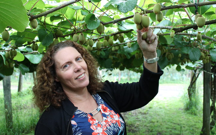 The highs and lows of running an organic orchard | RNZ