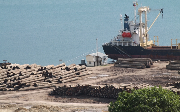 Calls for crack down on tax evasion in PNG | RNZ News