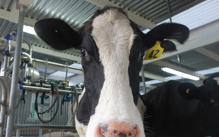 Rural News for 4 May 2021 | RNZ