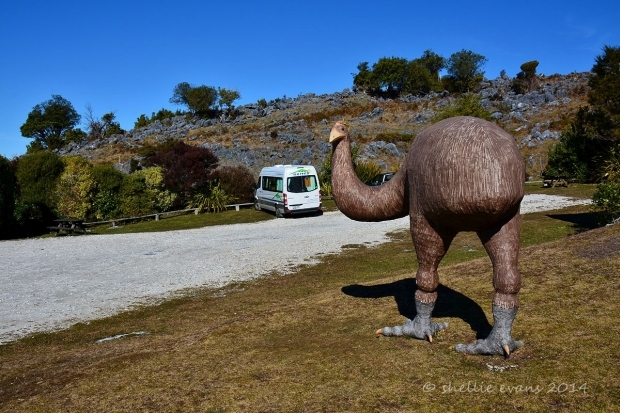 The Moa Mania of 1993 | RNZ